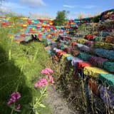 Albany Bulb, California - 393 Reviews, Map | AllTrails