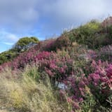 Albany Bulb, California - 393 Reviews, Map | AllTrails