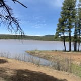 Ice Cave via Blue Ridge Cave Trail No. 608, Arizona - 525 Reviews, Map ...