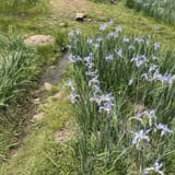 Ice Cave via Blue Ridge Cave Trail No. 608, Arizona - 525 Reviews, Map ...