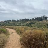 Balboa Park Loop, California - 979 Reviews, Map | AllTrails