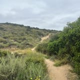 Balboa Park Loop, California - 979 Reviews, Map | AllTrails