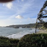 Trinidad Head/Tsurai Loop, California - 1,112 Reviews, Map | AllTrails