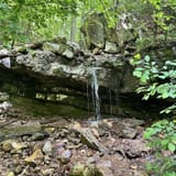 Roaring Run Trail, Virginia - 829 Reviews, Map | AllTrails