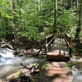 Roaring Run Trail, Virginia - 829 Reviews, Map | AllTrails