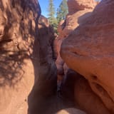 Red Rocks Trail, Colorado - 1,185 Reviews, Map | AllTrails