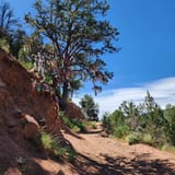 Doc Holliday Grave Trail, Colorado - 1,276 Reviews, Map | AllTrails