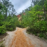 Canyon Loop Trail, Georgia - 2,337 Reviews, Map | AllTrails