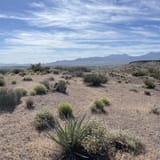 White Cliffs Wagon Trail, Arizona - 284 Reviews, Map | AllTrails