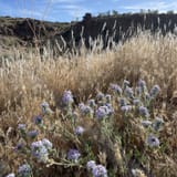 White Cliffs Wagon Trail, Arizona - 284 Reviews, Map | AllTrails