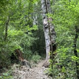 Oak Cliff Full Loop, Texas - 773 Reviews, Map | AllTrails