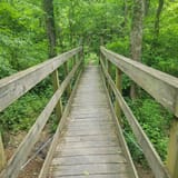 Low Gap Trail , Indiana - 1,445 Reviews, Map | AllTrails
