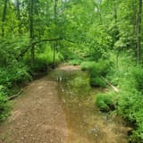 Low Gap Trail , Indiana - 1,445 Reviews, Map | AllTrails