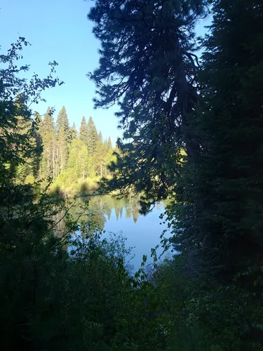 Best Walking Trails in Fort Klamath | AllTrails