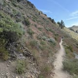 Hunter Creek Trail, Nevada - 4,578 Reviews, Map | AllTrails