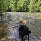 Chessie Nature Trail, Virginia - 338 Reviews, Map | AllTrails