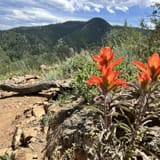 Mount Morrison Trail, Colorado - 5,855 Reviews, Map | AllTrails