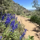 Mount Morrison Trail, Colorado - 5,855 Reviews, Map | AllTrails