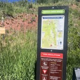 Mount Morrison Trail, Colorado - 5,855 Reviews, Map | AllTrails