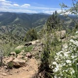 Mount Morrison Trail, Colorado - 5,855 Reviews, Map | AllTrails