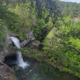 Foster Falls Climbers Loop Trail, Tennessee - 2,001 Reviews, Map ...