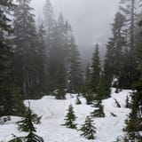 Pinnacle Lake Trail, Washington - 344 Reviews, Map | AllTrails