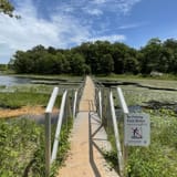 Cash Lake Loop Trail, Maryland - 1,144 Reviews, Map | AllTrails