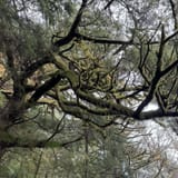 Neahkahnie Mountain via North Neah-Kah-Nie Mountain Trail, Oregon - 857 ...