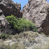 Soledad Canyon Loop, New Mexico - 1,322 Reviews, Map | AllTrails