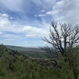 Mount Morrison Trail, Colorado - 5,855 Reviews, Map | AllTrails