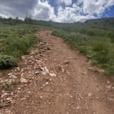 Mount Morrison Trail, Colorado - 5,855 Reviews, Map | AllTrails