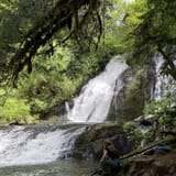 Alsea Falls and Green Peak Falls, Oregon - 1,161 Reviews, Map | AllTrails