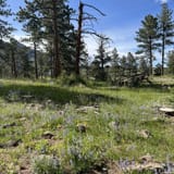 Shanahan Ridge Trail, Colorado - 3,329 Reviews, Map | AllTrails