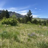 Shanahan Ridge Trail, Colorado - 3,329 Reviews, Map | AllTrails
