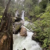 Begbie Falls, British Columbia, Canada - 165 Reviews, Map | AllTrails