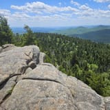 Crane Mountain Loop Hike, New York - 1,380 Reviews, Map | AllTrails
