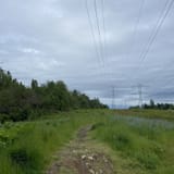 BPA Trail, Washington - 449 Reviews, Map | AllTrails