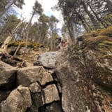 Allen Mountain Trail, New York - 1,180 Reviews, Map | AllTrails