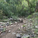 Neff's Canyon Loop, Utah - 2,590 Reviews, Map | AllTrails