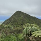 Wiliwilinui Ridge Trail, Oahu, Hawaii - 4,942 Reviews, Map | AllTrails
