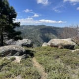 Boole Tree Loop, California - 194 Reviews, Map | AllTrails