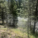 Walker Ranch Loop, Colorado - 4,591 Reviews, Map | AllTrails