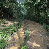 Bukit Serdang Trail, Selangor, Malaysia - 339 Reviews, Map | AllTrails