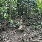 Bukit Serdang Trail, Selangor, Malaysia - 339 Reviews, Map | AllTrails