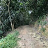 Bukit Serdang Trail, Selangor, Malaysia - 339 Reviews, Map | AllTrails