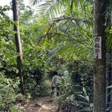 Bukit Serdang Trail, Selangor, Malaysia - 339 Reviews, Map | AllTrails