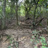 Bukit Serdang Trail, Selangor, Malaysia - 339 Reviews, Map | AllTrails