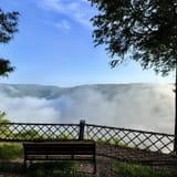 Tioga West Rim Trail, Pennsylvania - 502 Reviews, Map | AllTrails