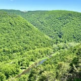 Tioga West Rim Trail, Pennsylvania - 551 Reviews, Map | AllTrails