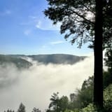 Tioga West Rim Trail, Pennsylvania - 551 Reviews, Map | AllTrails